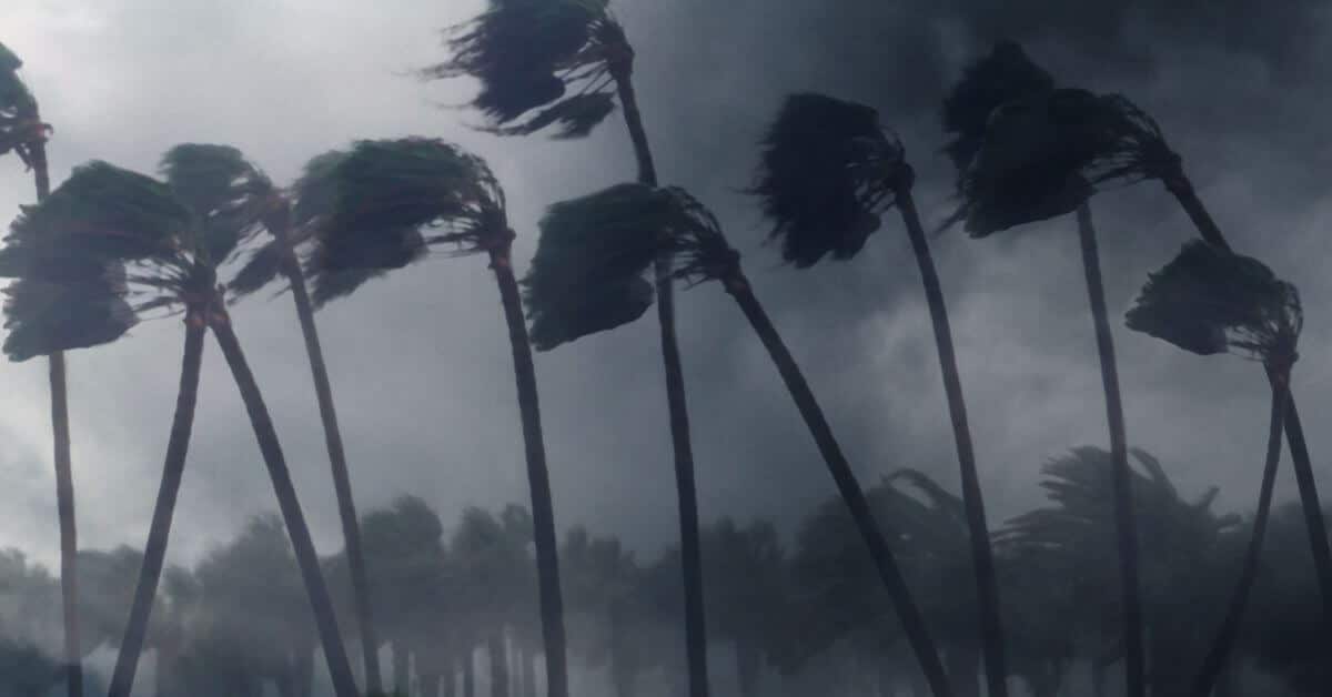 What to Do During and After a Hurricane | SunPoint Public Adjusters, Inc.