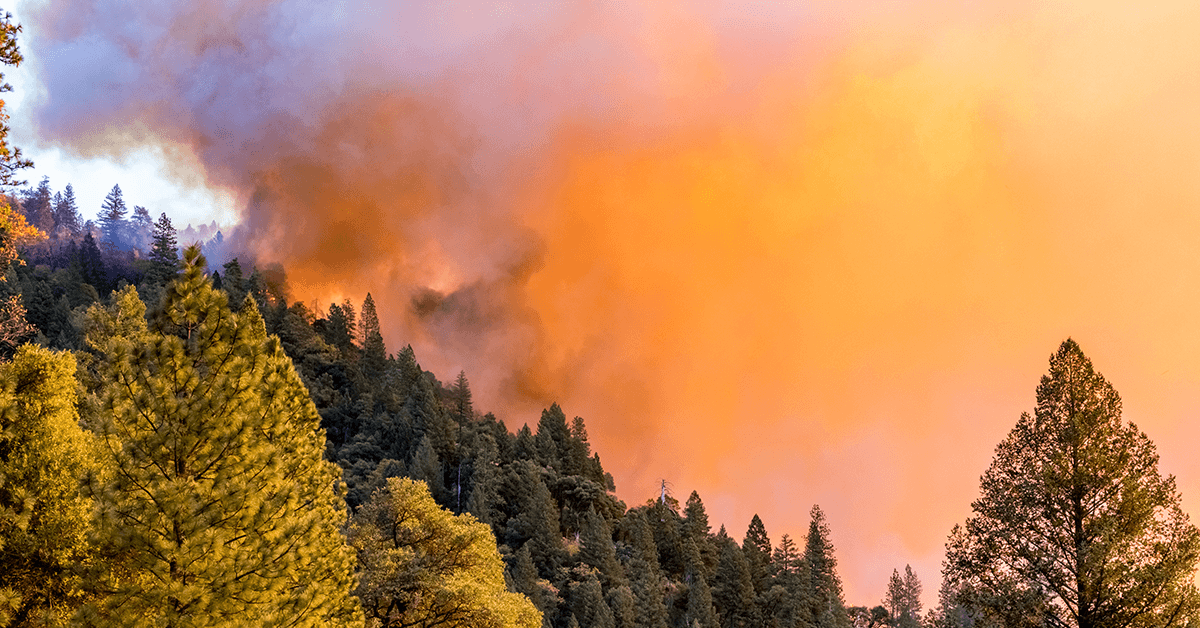 Roadmap to Recovery Virtual Q&A Workshop for 2020 California Wildfire ...