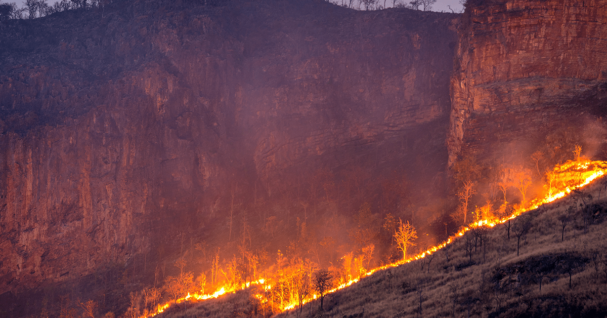 Wildfire Property Damage | SunPoint Public Adjusters, Inc.